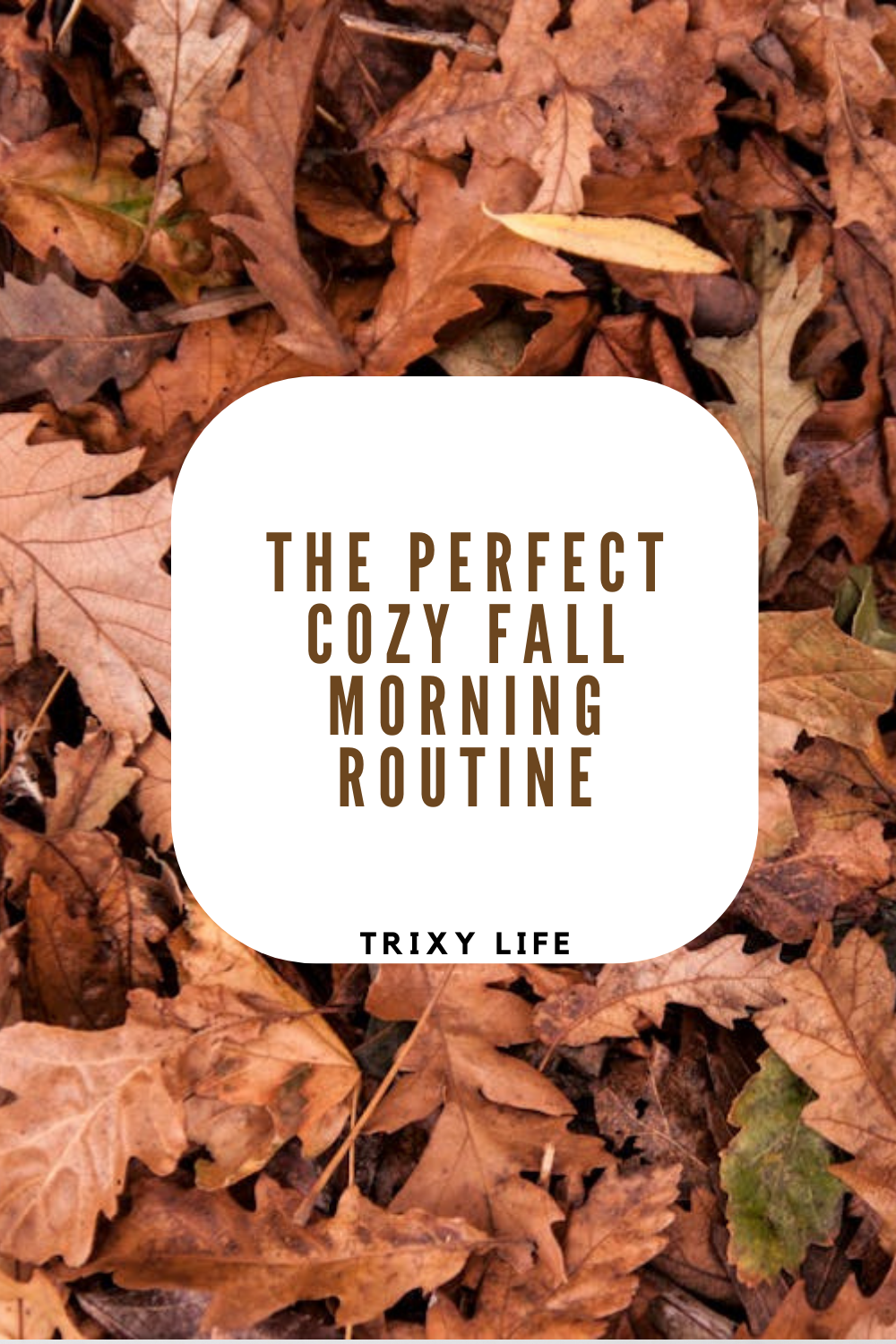 The perfect cozy fall morning routine – Trixy Life